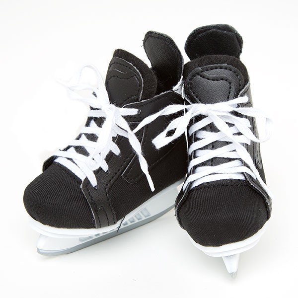 Programs :: Prince Albert Skating Club